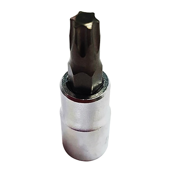 T30 Torx Bit, Satin Chrome 1/4 Square Drive Bit Holder